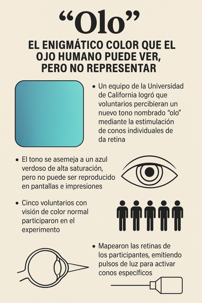 “Olo”: enigmático color que el ojo humano puede ver, pero no ...